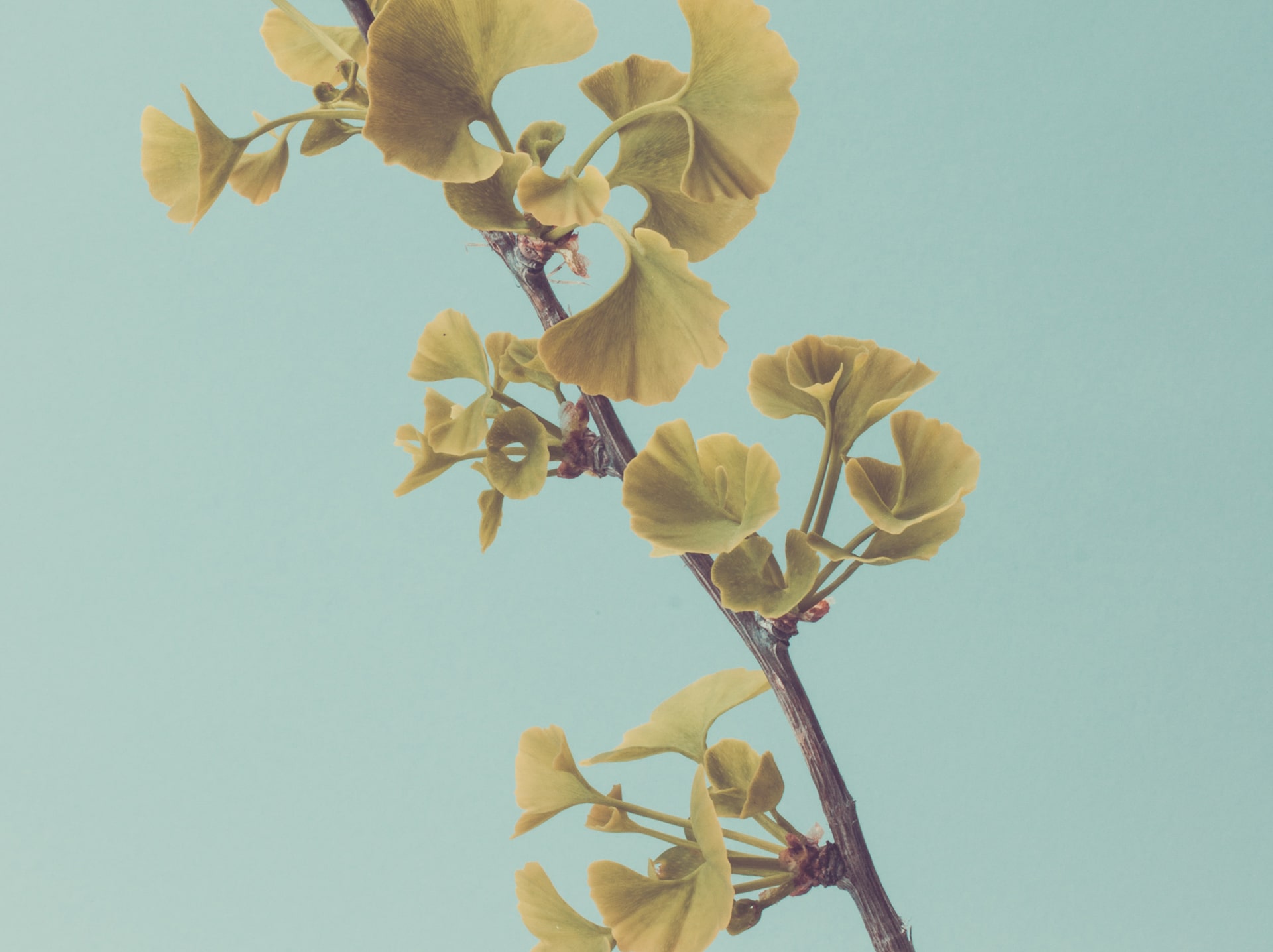 Top 5 camera lenses to use in nature photography – Garry Films